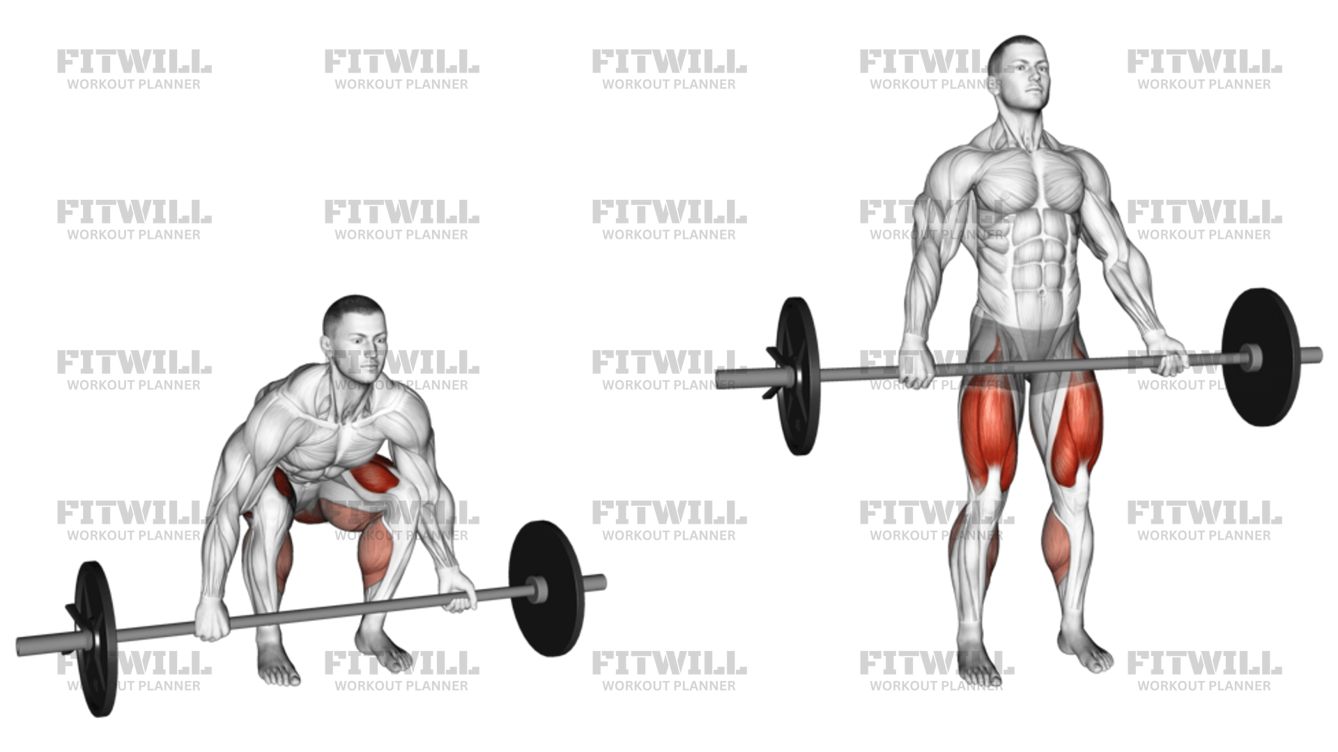 Barbell Mixed Grip Deadlift: Exercise Guide, Video, Techniques ...