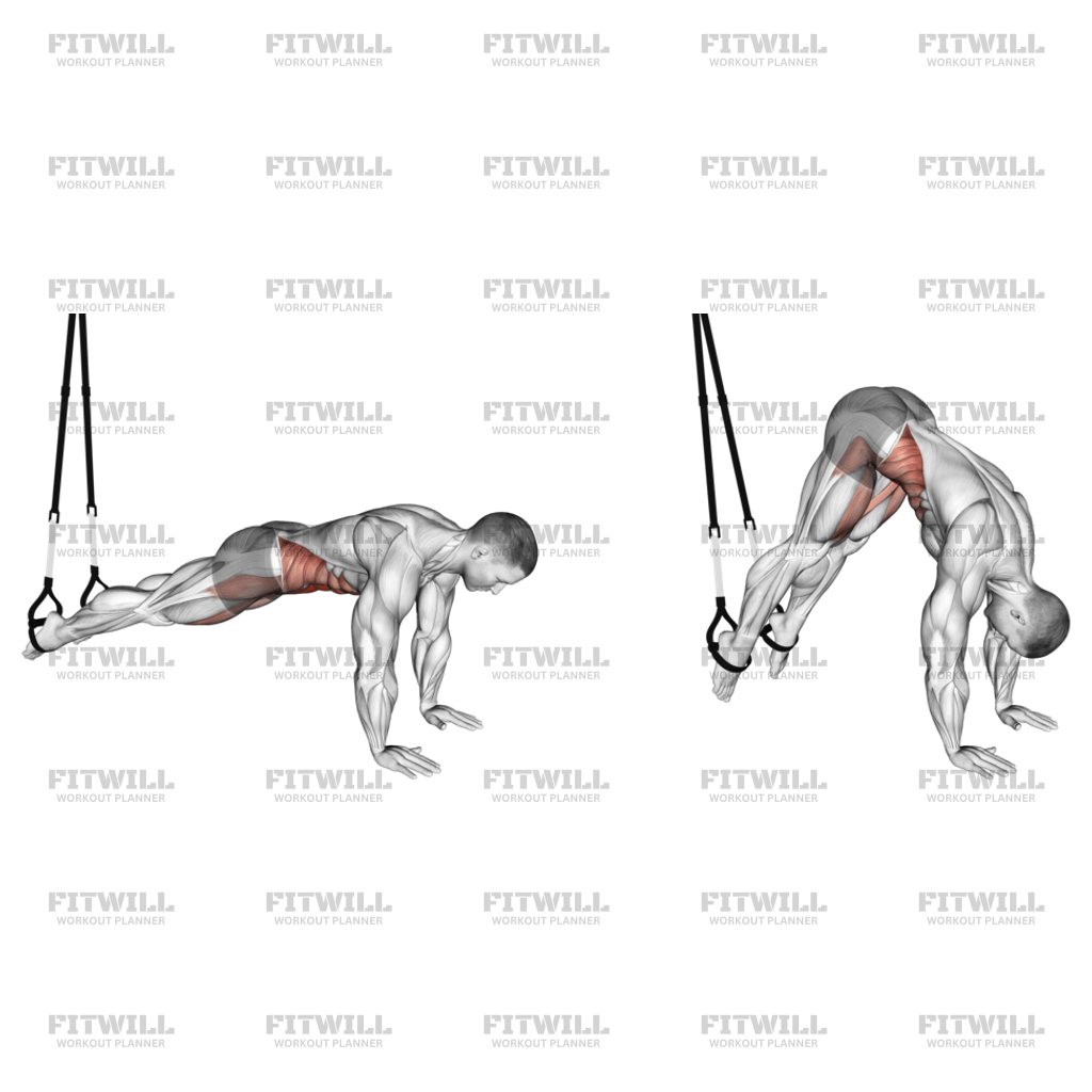 Suspender Pike: Exercise Guide, Techniques, Benefits, How to, Muscles ...