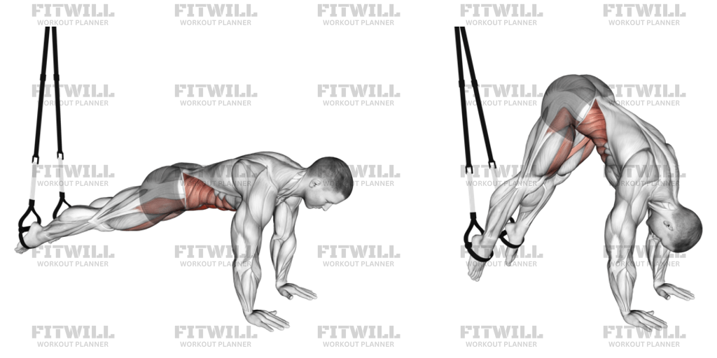 Suspender Pike: Exercise Guide, Techniques, Benefits, How to, Muscles ...