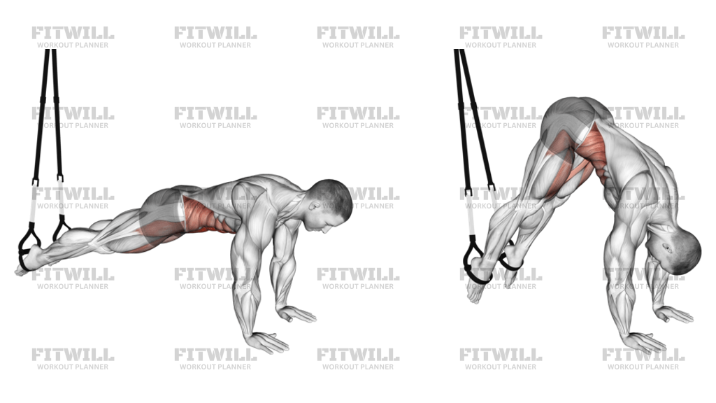 Suspender Pike: Exercise Guide, Techniques, Benefits, How to, Muscles ...