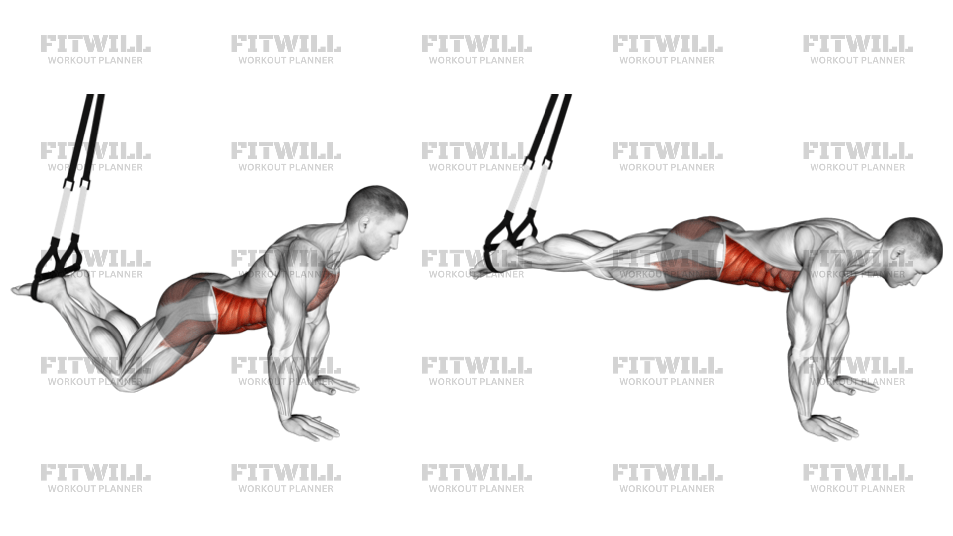 Prancha Frontal Suspensa: Guia de Exercícios, Técnicas, Benefícios ...
