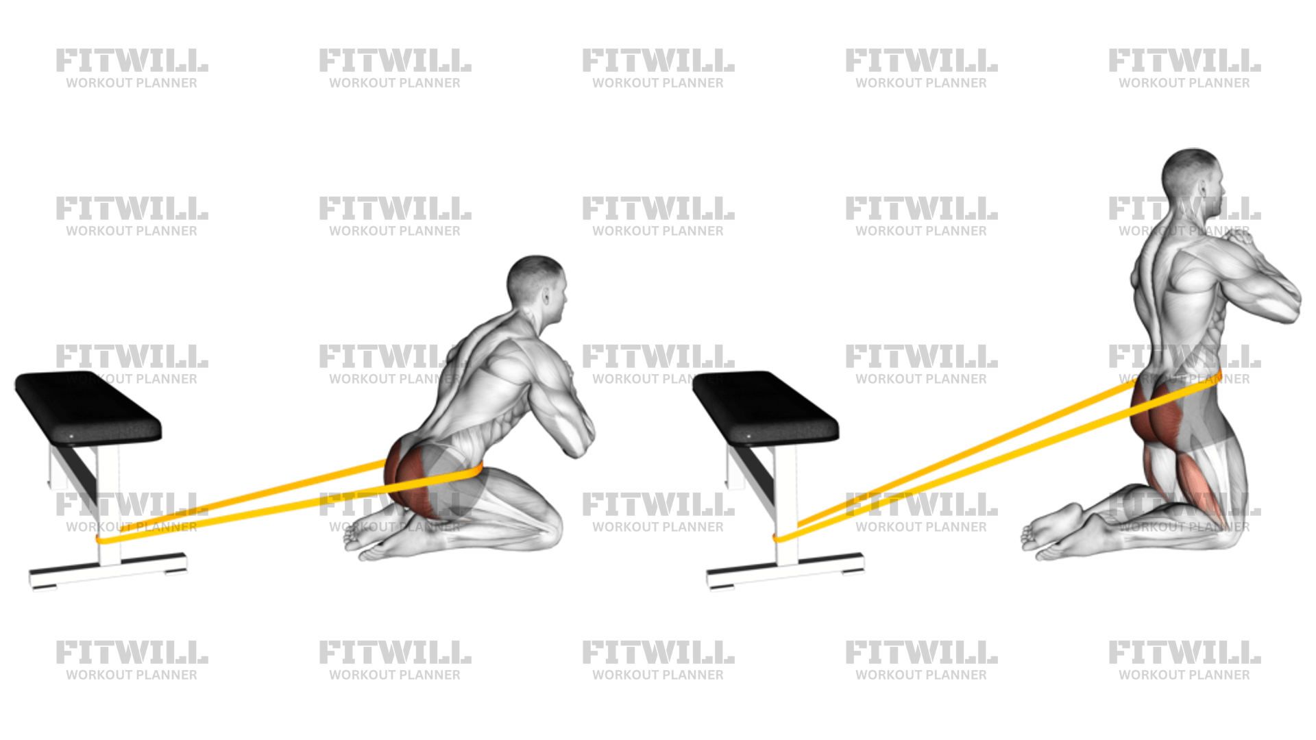 Resistance Band Hip Thrusts On Knees: Exercise Guide, Techniques ...
