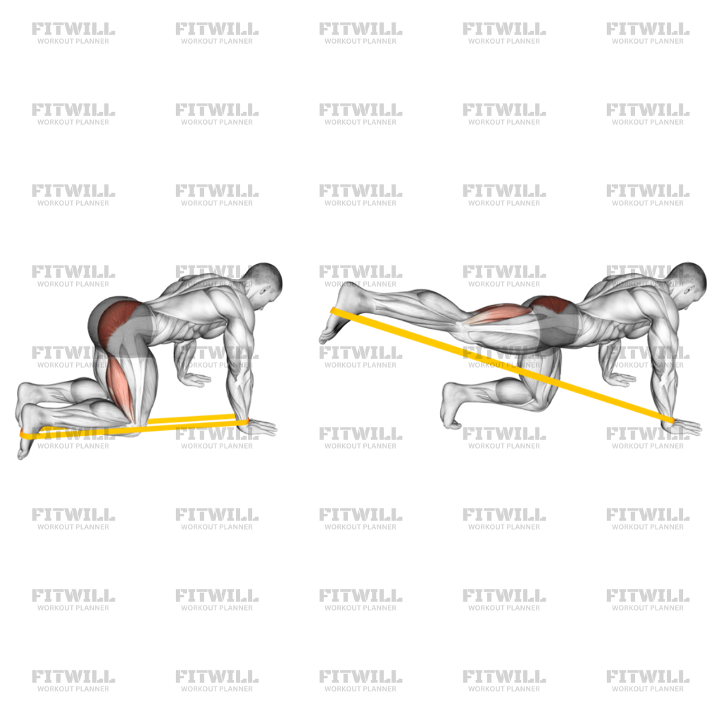 Resistance Band Leg Kickback: Exercise Guide, Techniques, Benefits, How ...