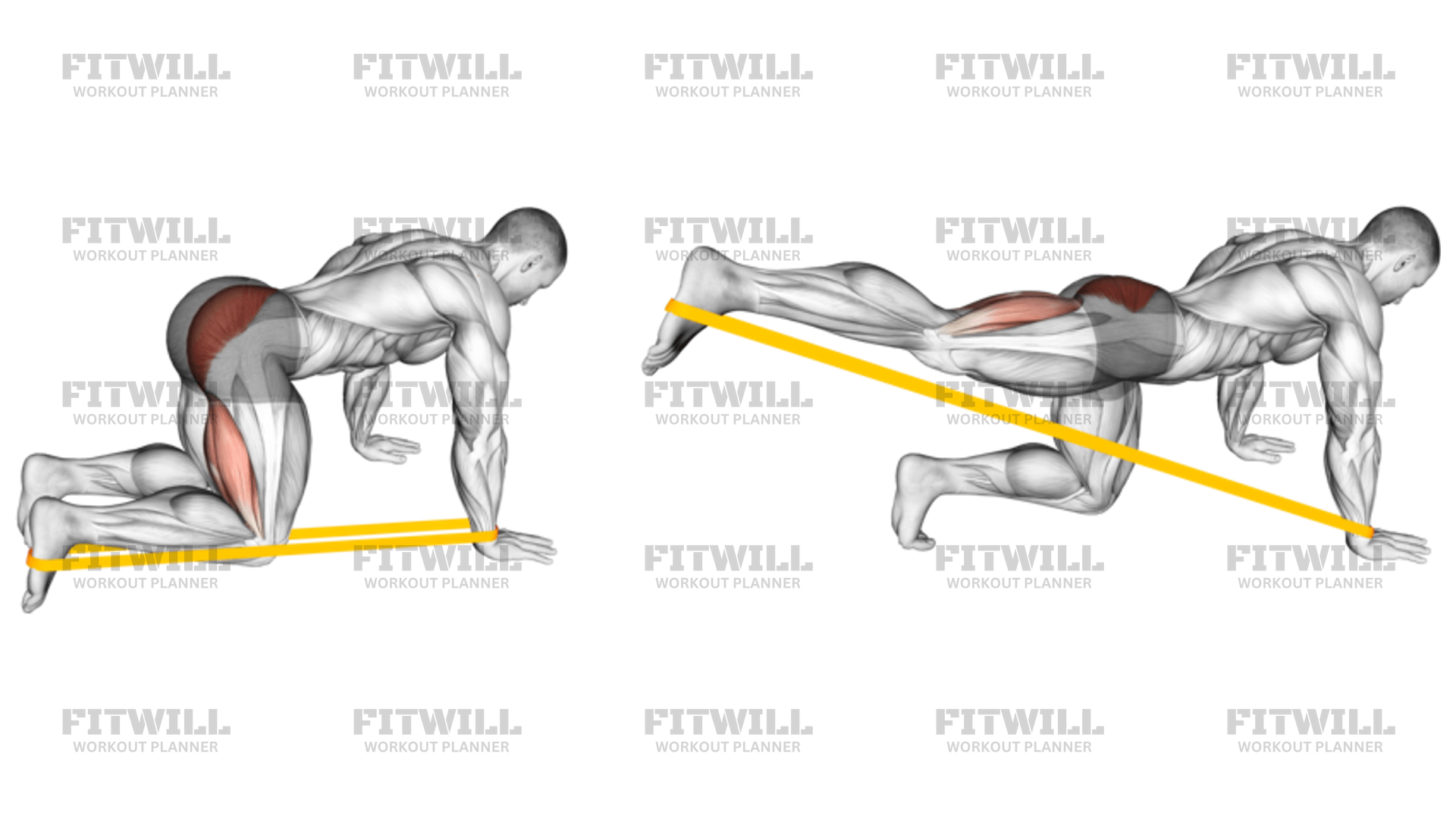Resistance Band Leg Kickback: Exercise Guide, Techniques, Benefits, How ...