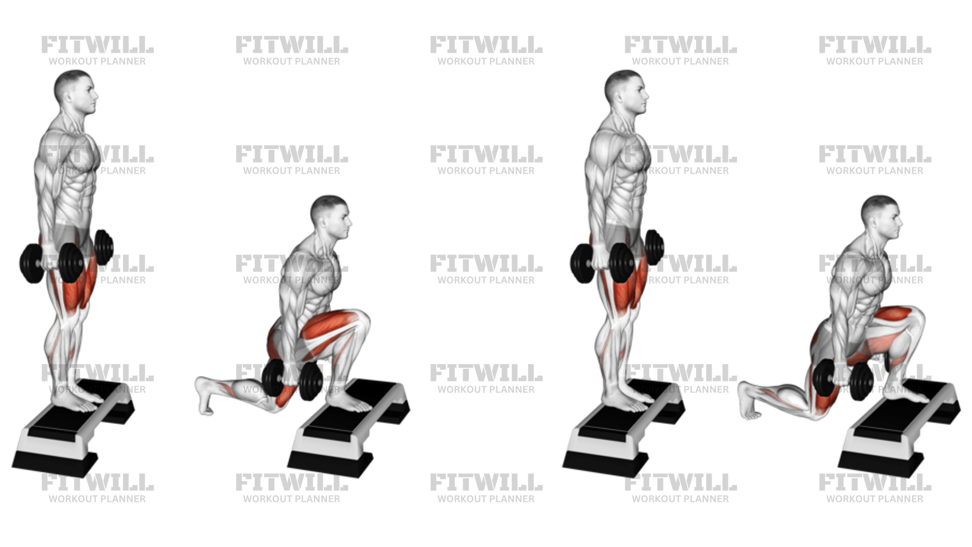 Dumbbell Reverse Lunge From Deficit Exercise Guide Techniques