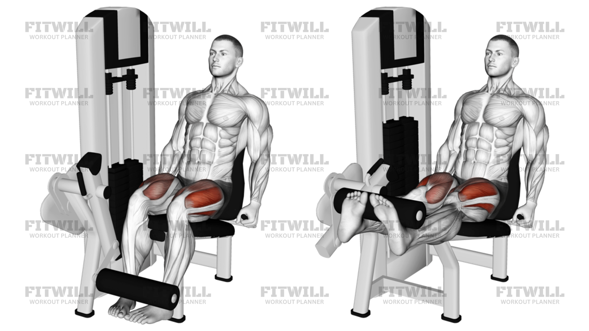 Lever Leg Extension (Inward Toes): Exercise Guide, Techniques, Benefits ...