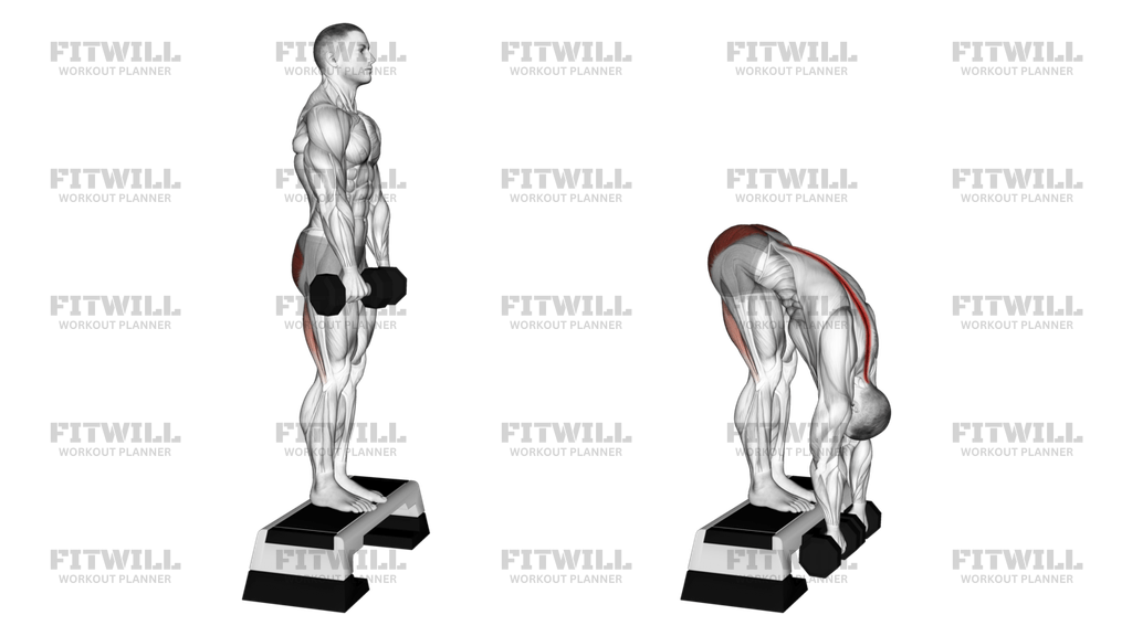 Dumbbell Jefferson Curl: Exercise Guide, Techniques, Benefits, How to ...