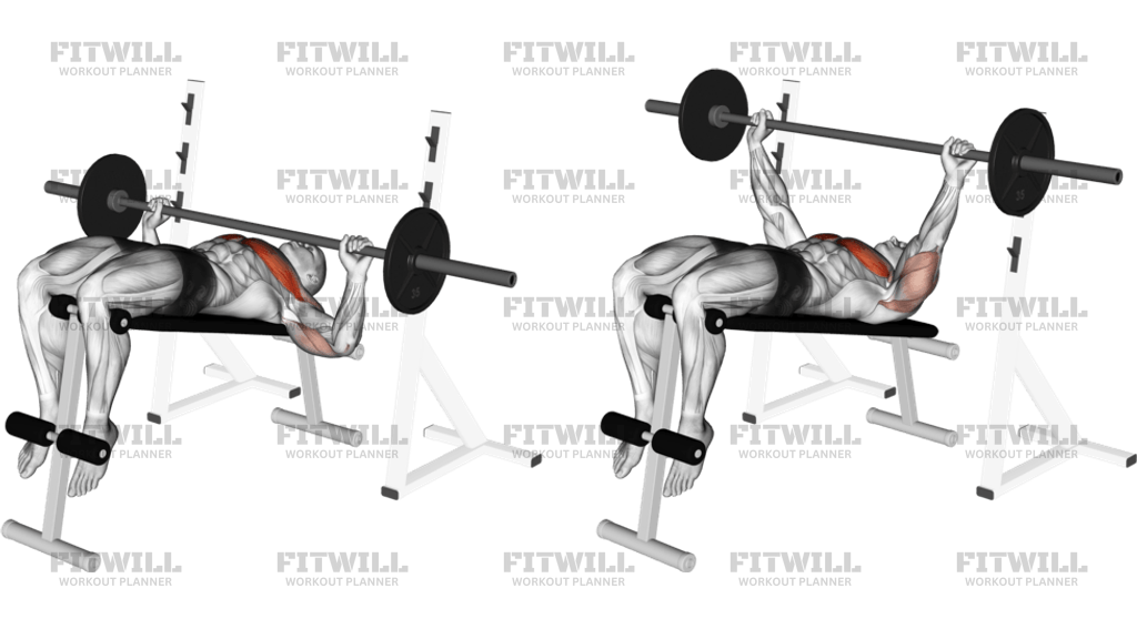 Barbell Bench Press: Guide, Techniques, Benefits, How to, Muscles ...