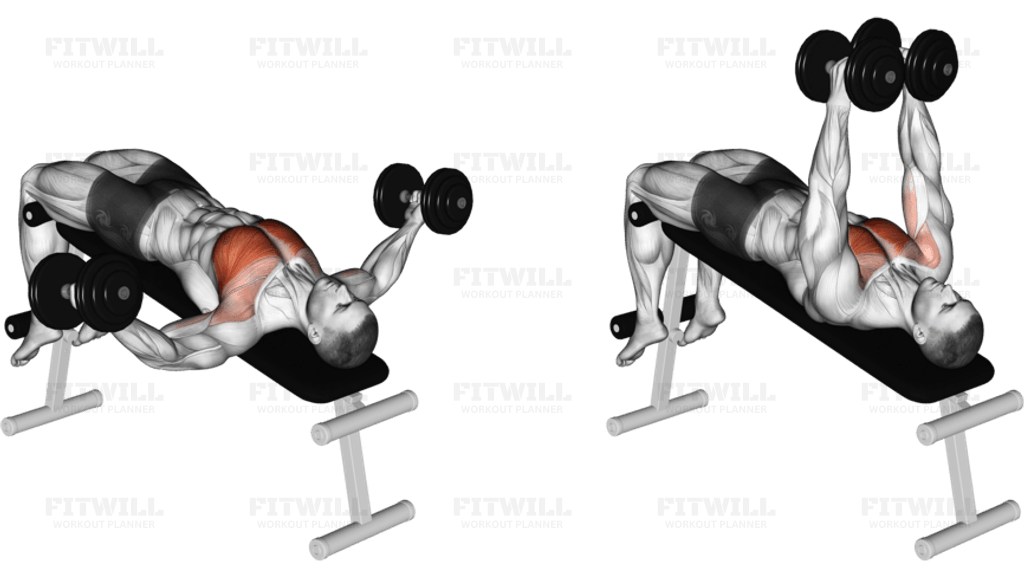 Dumbbell Decline Fly: Guide, Techniques, Benefits, How to, Muscles ...