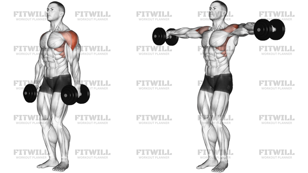 Dumbbell Lateral Raise: Guide, Techniques, Benefits, How to, Muscles ...