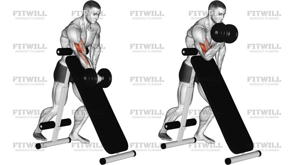 Dumbbell Standing One Arm Curl (over incline bench): Guide, Techniques ...