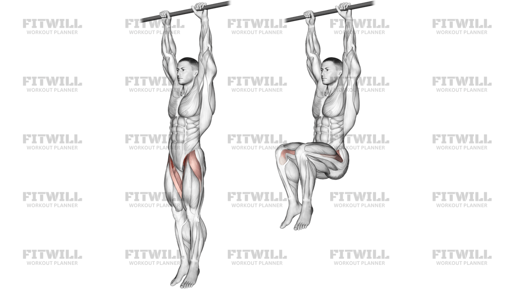 Hanging Leg Raise: Guide, Techniques, Benefits, How to, Muscles Worked ...