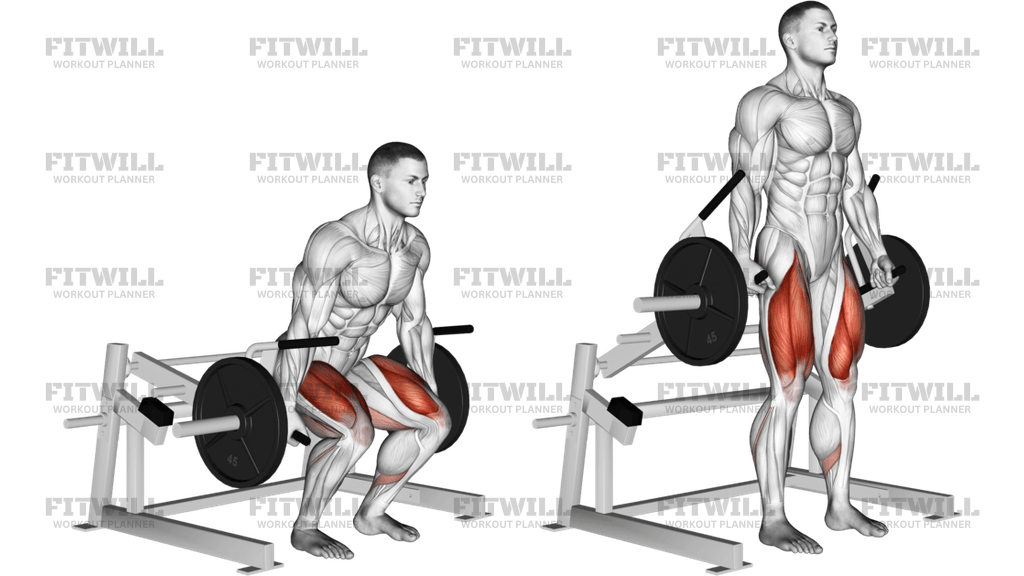 Lever Seated Squat: Guide, Techniques, Benefits, How to, Muscles Worked ...