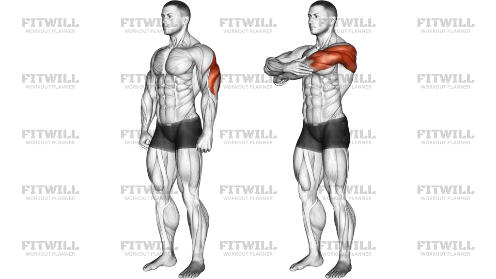 Triceps Stretch: Guide, Techniques, Benefits, How to, Muscles Worked ...