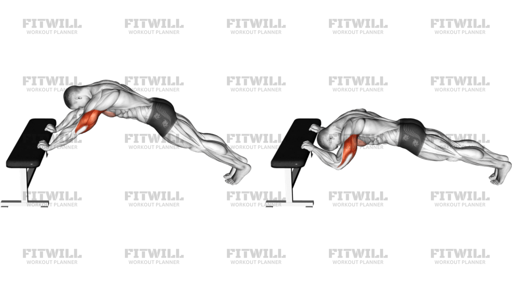 Triceps Press (Head Below Bench): Guide, Techniques, Benefits, How to ...