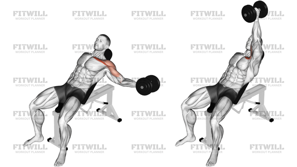 Dumbbell Incline One Arm Fly: Guide, Techniques, Benefits, How to ...