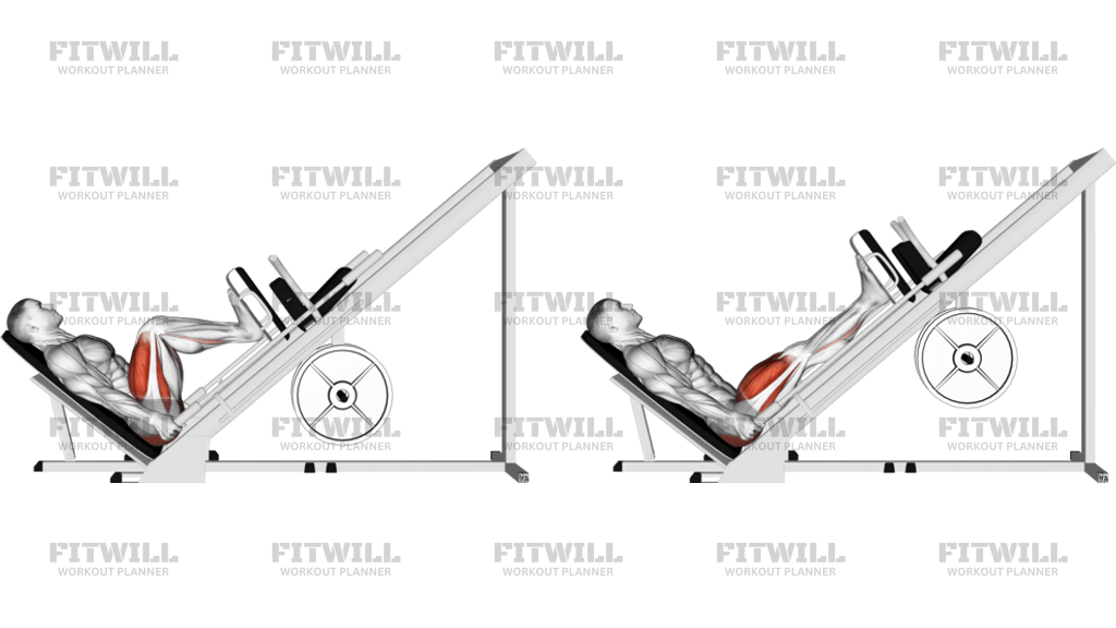 Sled 45 degrees Wide Stance Leg Press: Guide, Techniques, Benefits, How ...