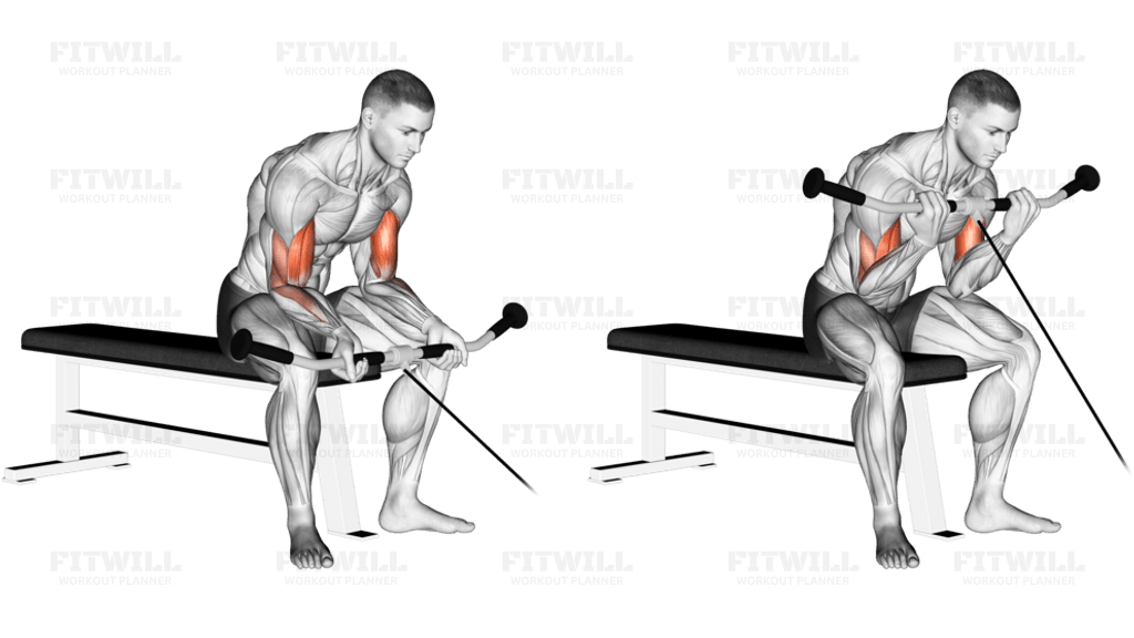 Cable Seated One Arm Concentration Curl: Guide, Techniques, Benefits ...