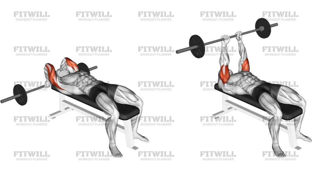 Olympic Barbell Triceps Extension: Guide, Techniques, Benefits, How to ...