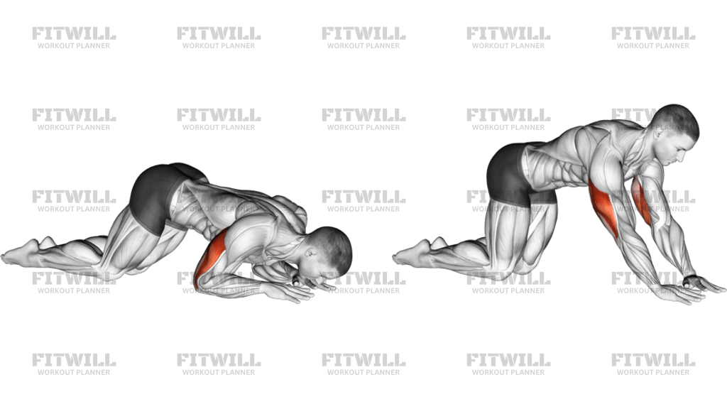 Bodyweight Kneeling Triceps Extension: Guide, Techniques, Benefits, How ...