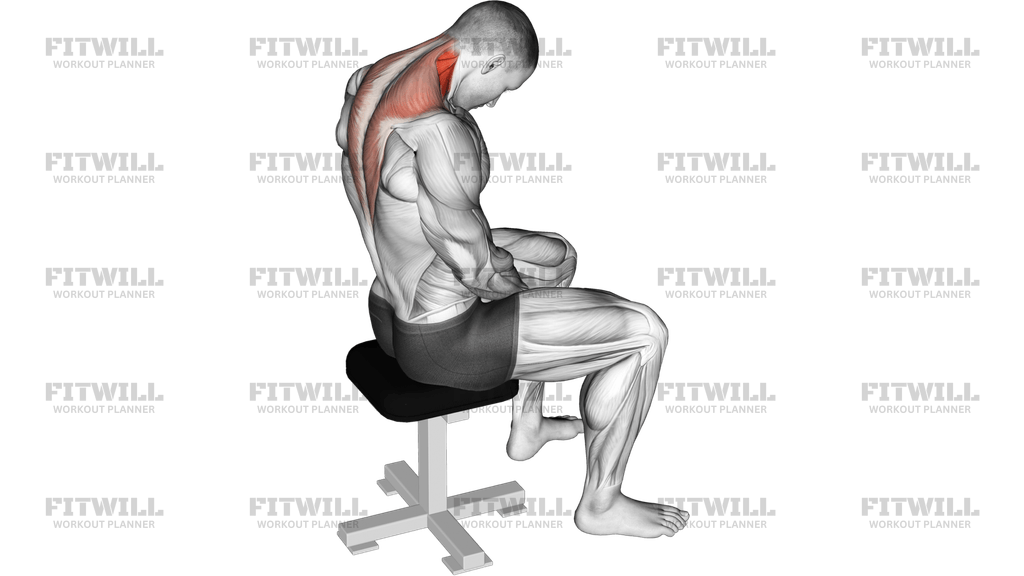 Sitting Neck Flexion Stretch: Guide, Techniques, Benefits, How to ...
