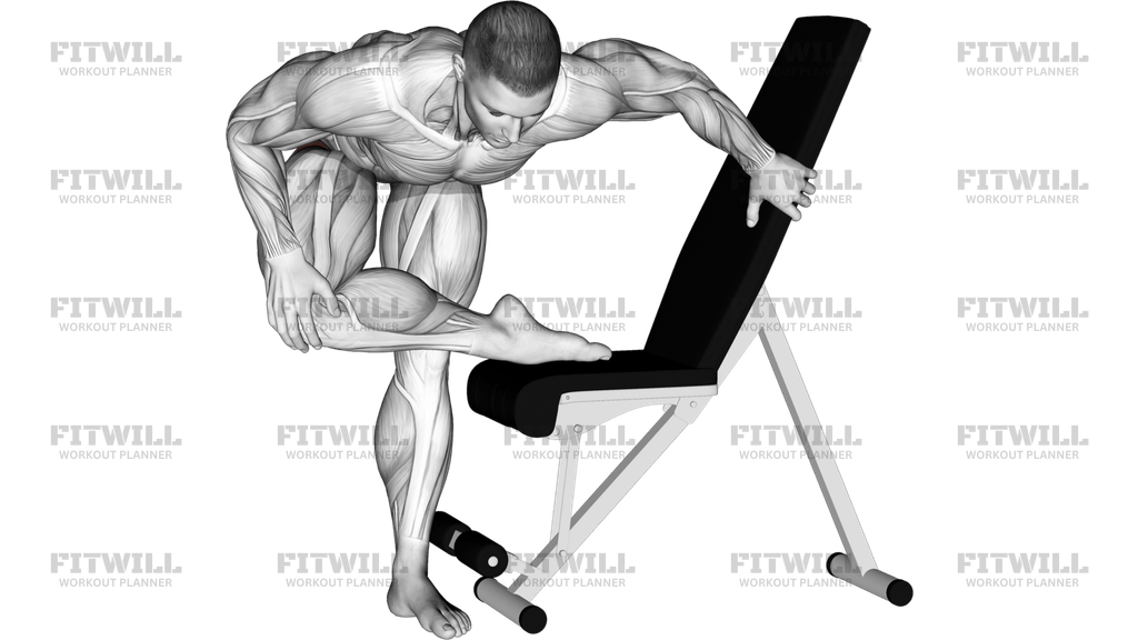 Exercise Library | Fitwill