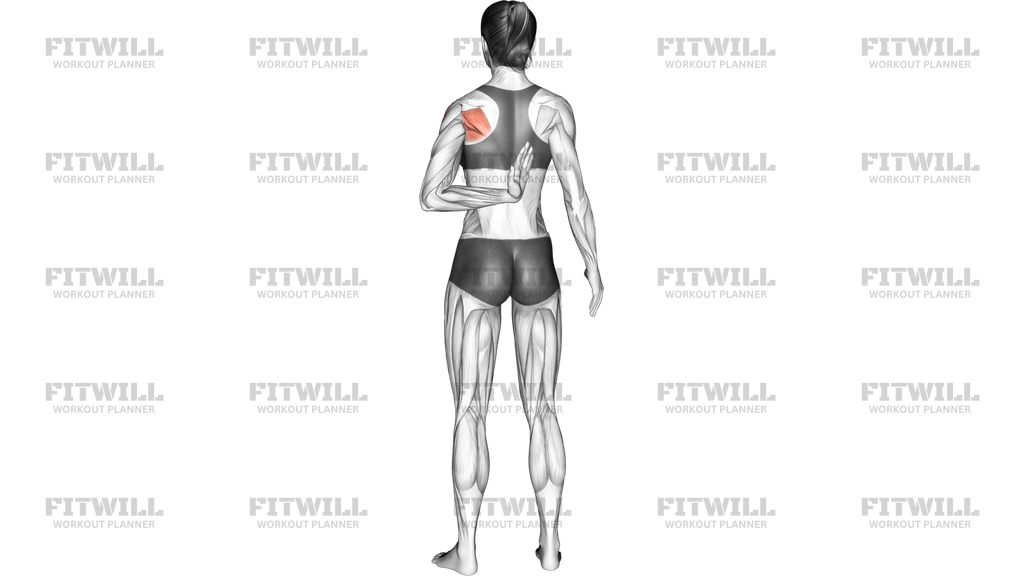 Shoulder Adductor Protractor And Elevator Stretch Guide Techniques