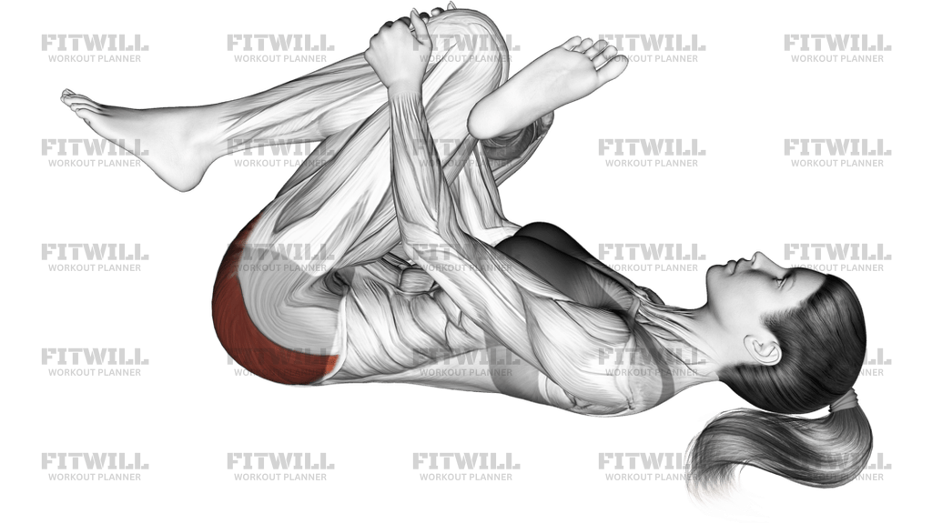 Recumbent Hip External Rotator And Hip Extensor Stretch (Crossed Leg ...