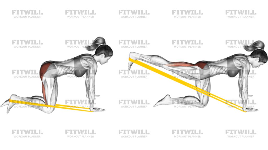 Resistance Band Standing Balance Glute Kickback (VERSION 2): Guide ...