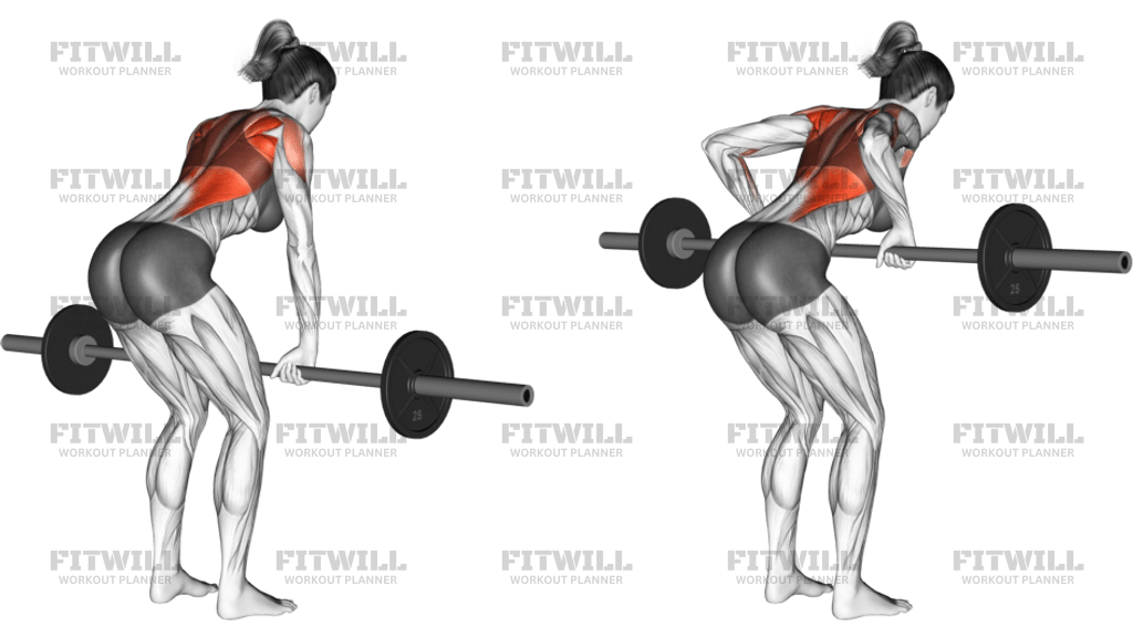 Barbell Bent Over Row: Guide, Techniques, Benefits, How to, Muscles ...