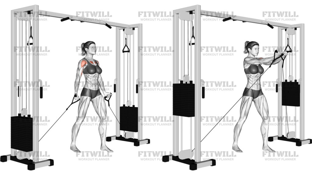 Cable One Arm Lateral Bent-over (R): Guide, Techniques, Benefits, How ...