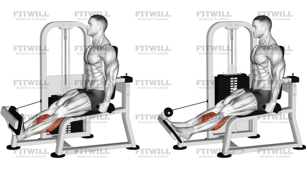Lever Seated Calf Raise (plate loaded) (VERSION 2): Guide, Techniques ...