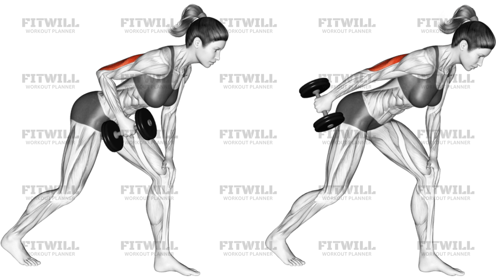 Dumbbell One Arm Kickback: Guide, Techniques, Benefits, How to, Muscles ...
