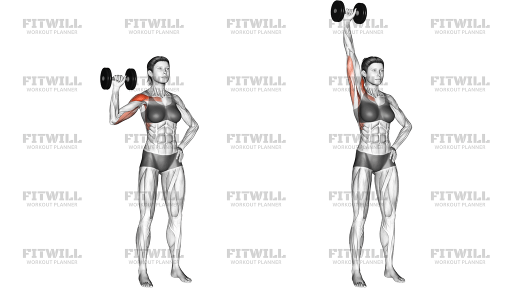 Dumbbell Seated One Arm Shoulder Press: Guide, Techniques, Benefits ...