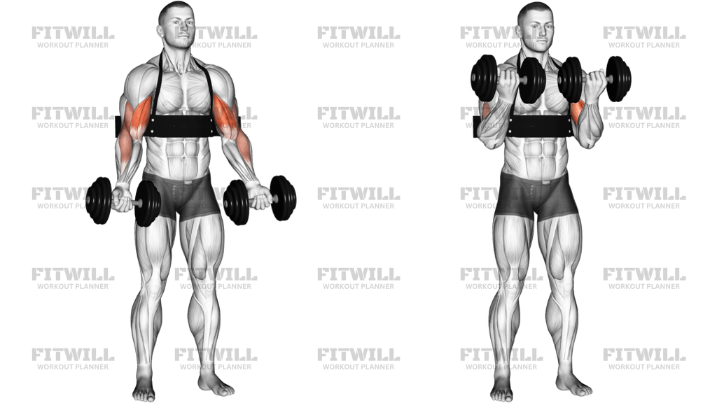 Dumbbell Biceps Curl (with arm blaster): Guide, Techniques, Benefits ...