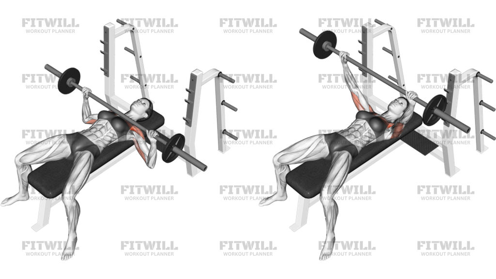 Barbell Bench Press: Guide, Techniques, Benefits, How to, Muscles ...