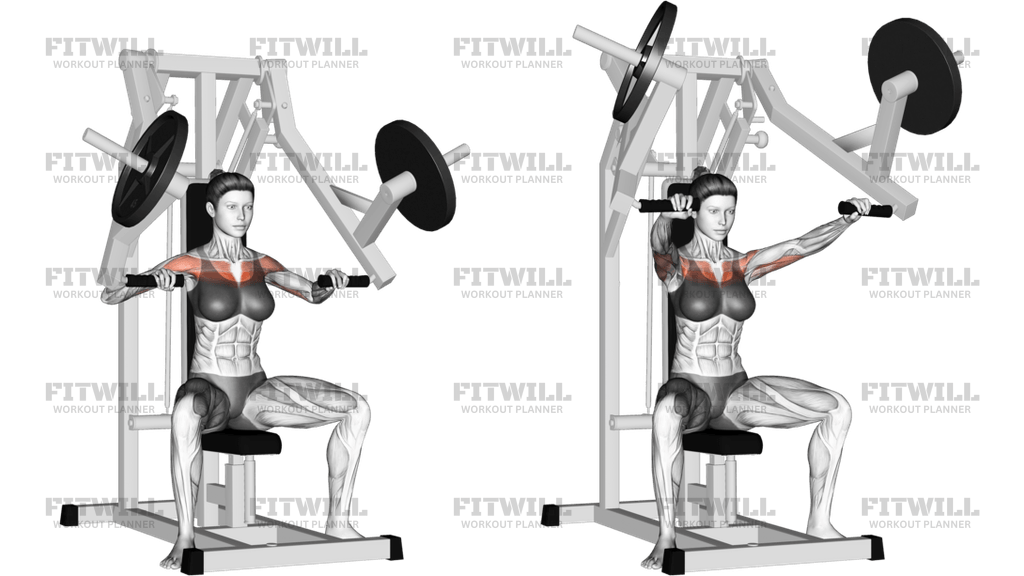 Lever Chest Press (plate loaded): Guide, Techniques, Benefits, How to ...