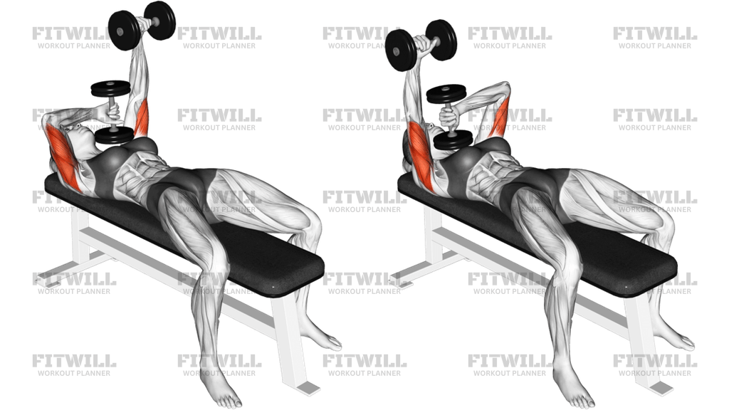 Dumbbell Lying Triceps Extension: Guide, Techniques, Benefits, How to ...