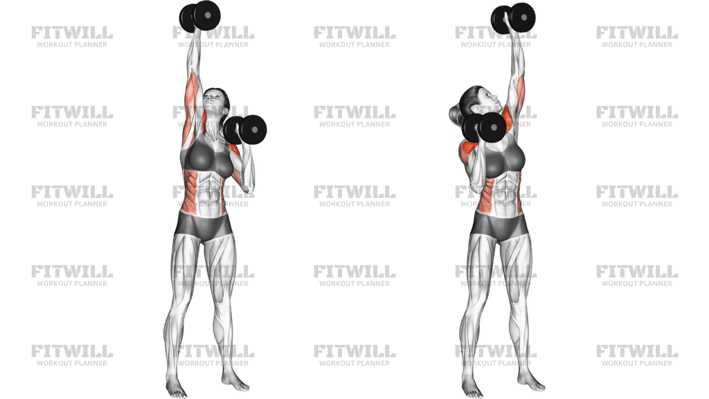 Dumbbell Alternate Arnold Press: Guide, Techniques, Benefits, How to ...