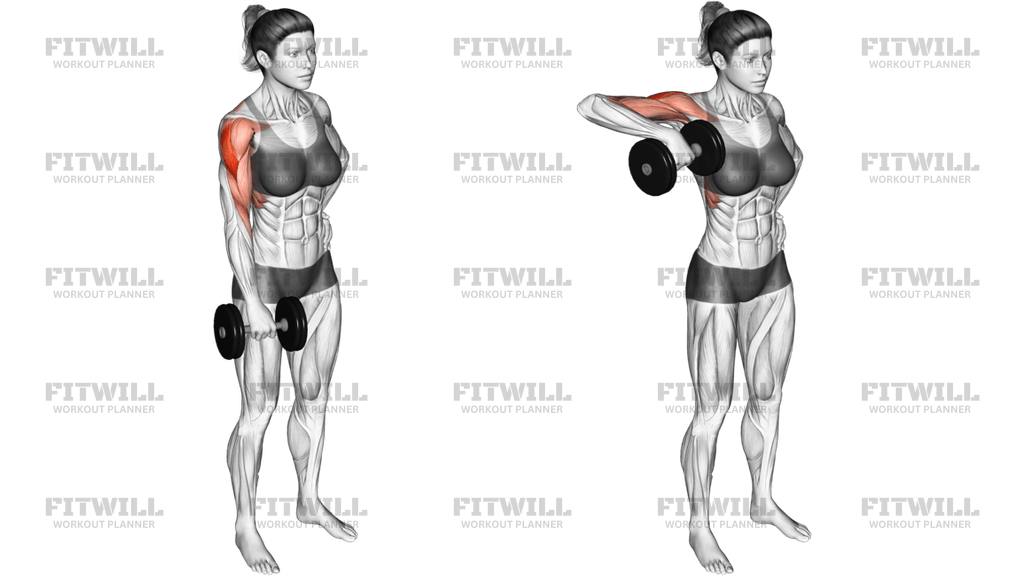 Dumbbell One Arm Upright Row: Guide, Techniques, Benefits, How to ...