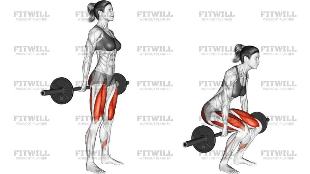 Barbell Squat - Knees - End position (WRONG-RIGHT): Guide, Techniques ...