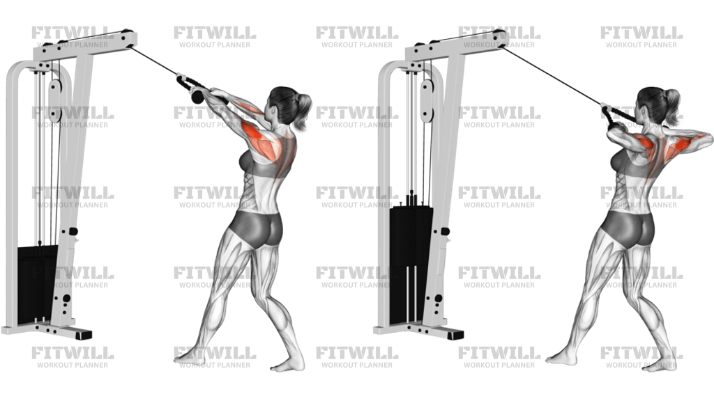 Cable Standing Rear Delt Row (with rope): Guide, Techniques, Benefits ...