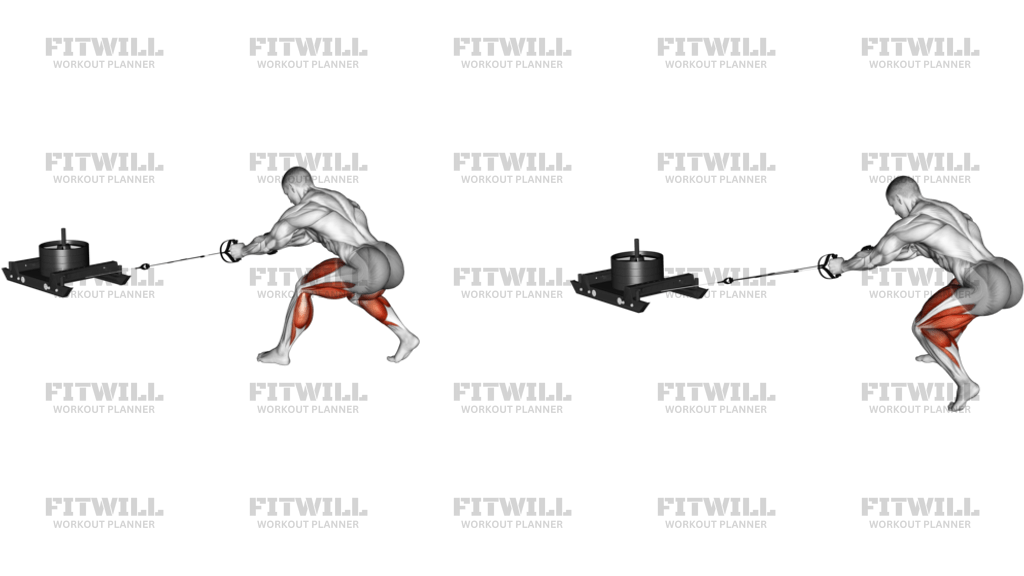 Power Sled Rear Lunge: Guide, Techniques, Benefits, How to, Muscles ...