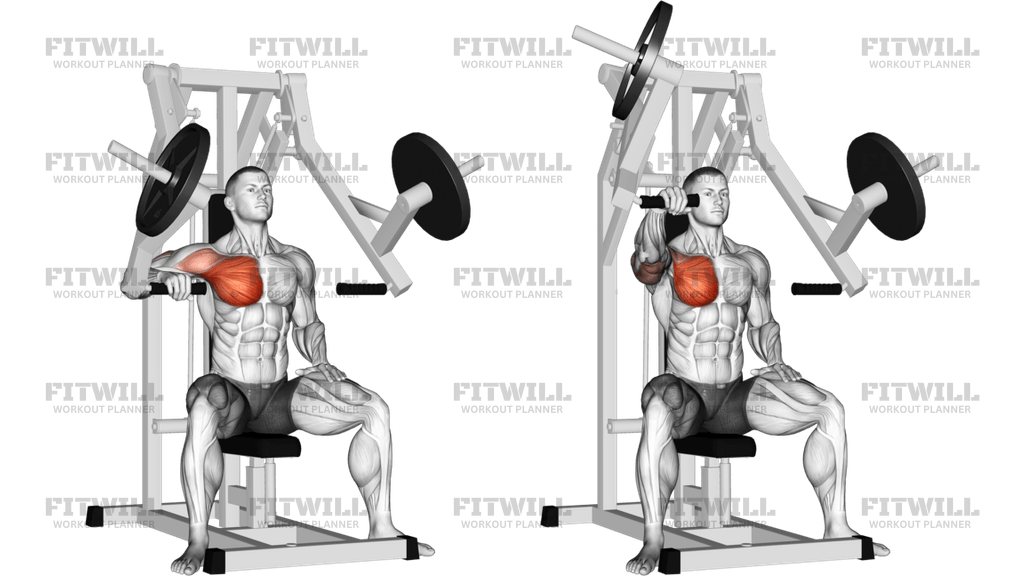 Lever One Arm Chest Press (plate loaded): Guide, Techniques, Benefits ...