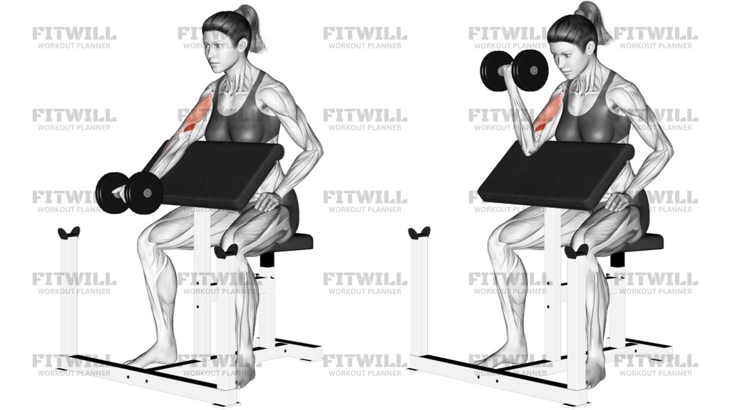 Dumbbell One Arm Prone Curl: Guide, Techniques, Benefits, How to ...