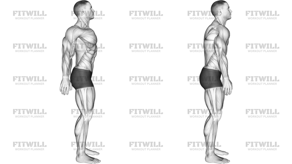 Scapula Retraction Protraction: Guide, Techniques, Benefits, How to ...