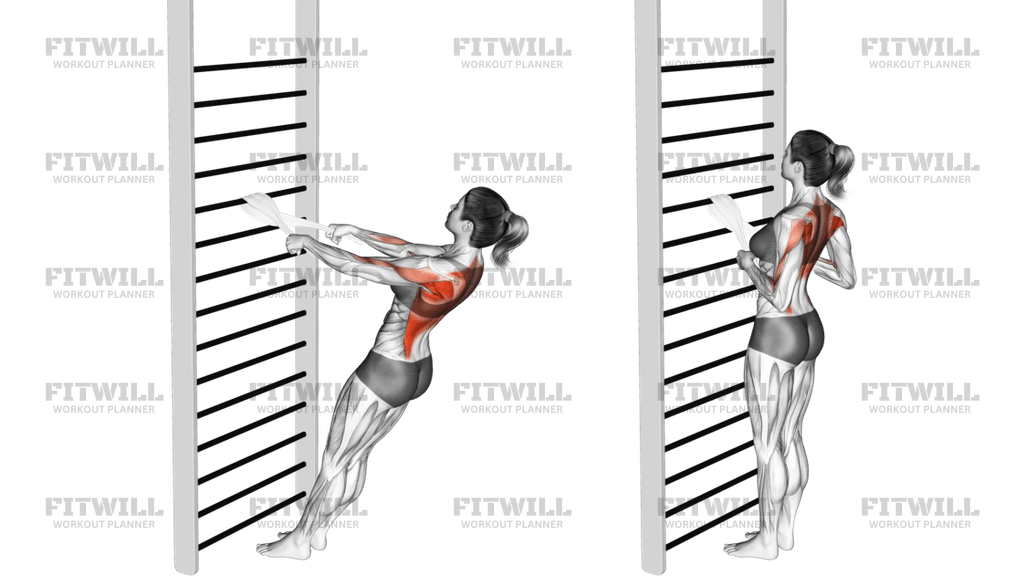 Bodyweight Standing Row (with towel): Guide, Techniques, Benefits, How ...
