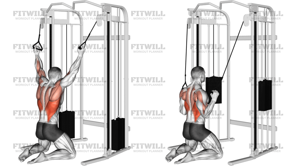 Cable Kneeling Parallel Grip Lat Pulldown: Guide, Techniques, Benefits, How to, Muscles Worked ...