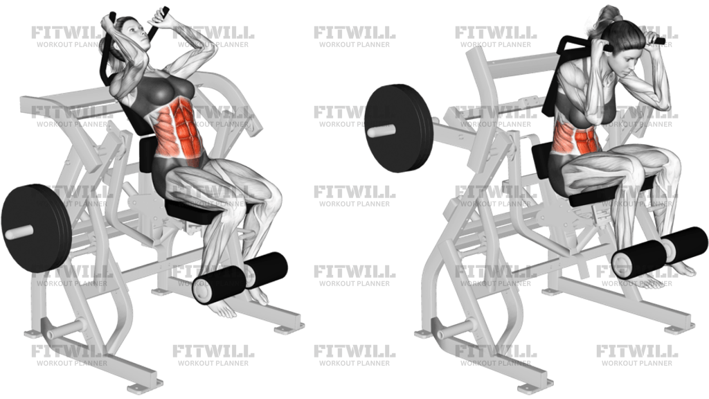 Lever Seated Leg Raise Crunch (plate loaded): Guide, Techniques ...