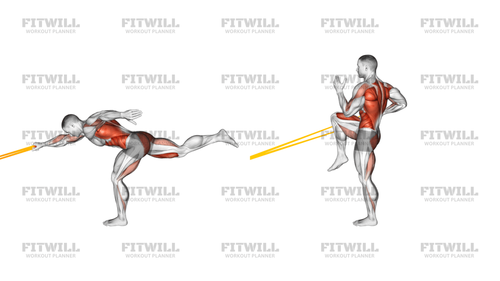 Resistance Band Single Stiff Leg Deadlift with Single Arm Row: Guide ...